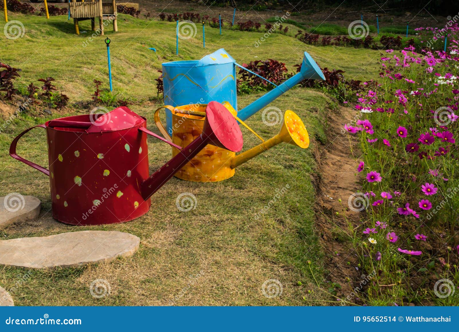 Colorful watering cans. stock photo. Image of watering - 95652514