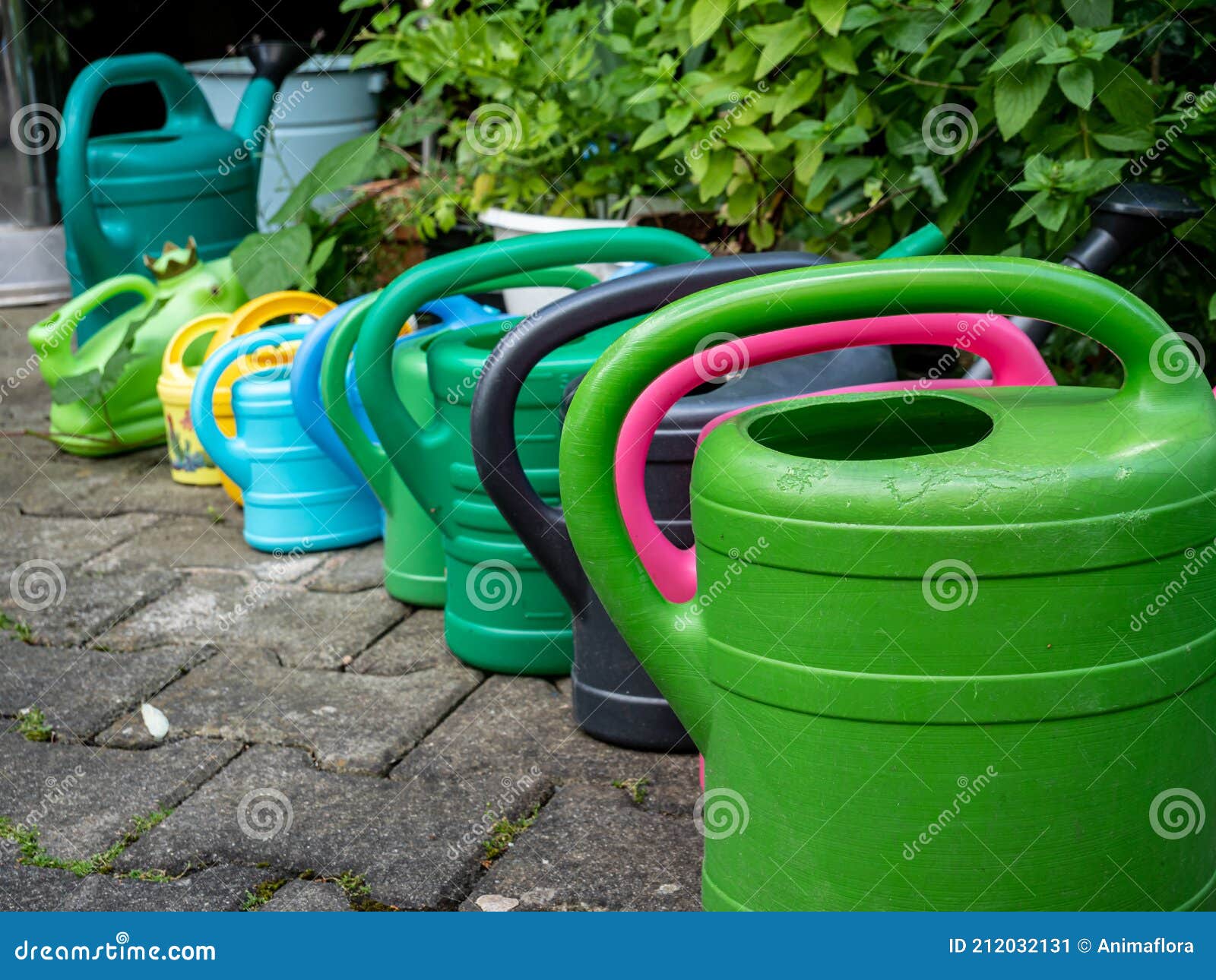 Colorful Watering Cans at the Garden Stock Image - Image of green ...