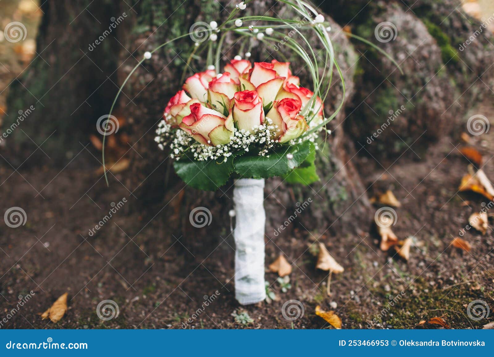 Colorful Wedding Bouquet Stands by the Tree Stock Image - Image of gift ...