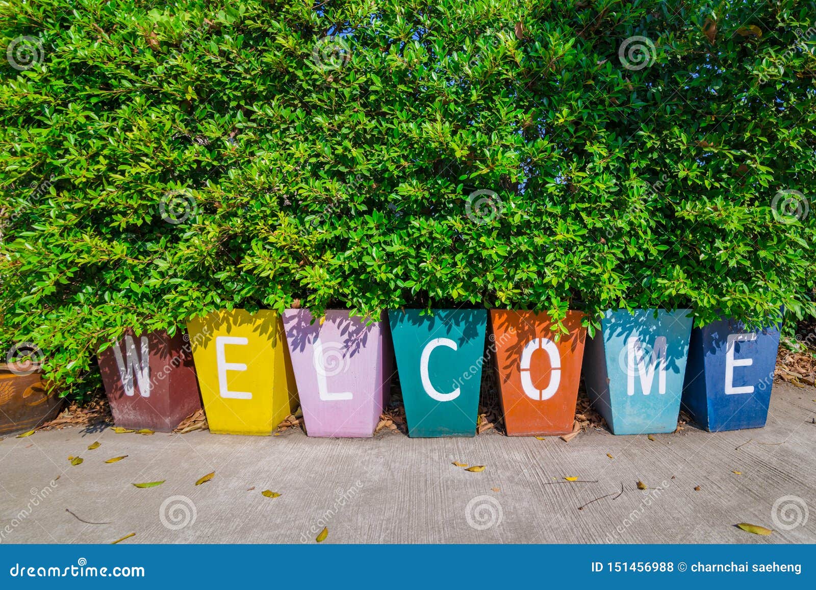 Colorful of the Welcome Text with Tree Near Facne. Stock Photo - Image ...