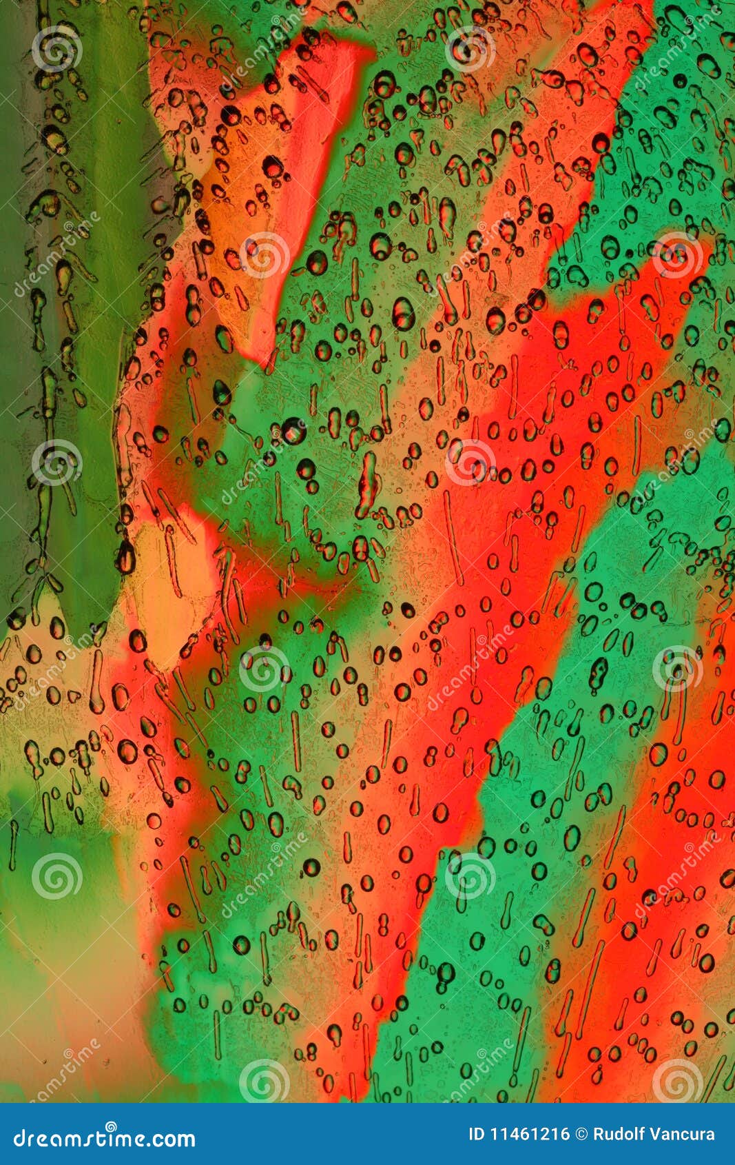 Colorful wet background stock photo. Image of neon, lines - 11461216