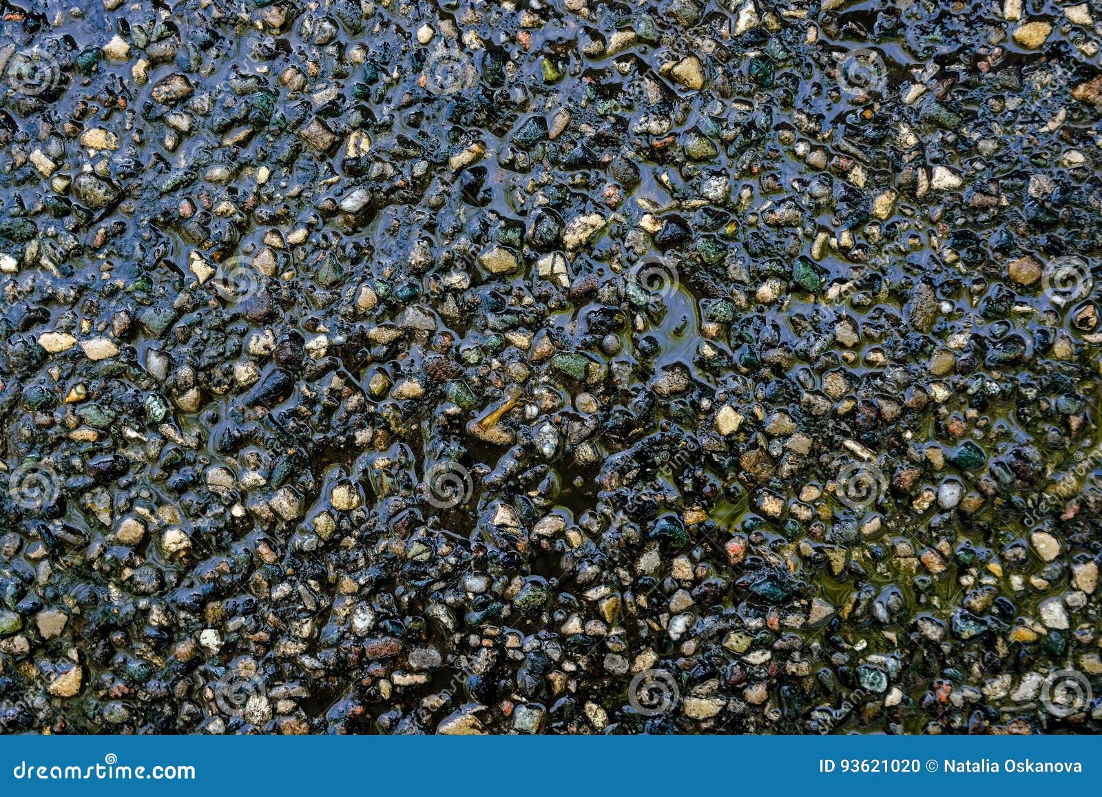 Colorful Wet Pebble of Stone Wall Stock Photo - Image of grunge ...