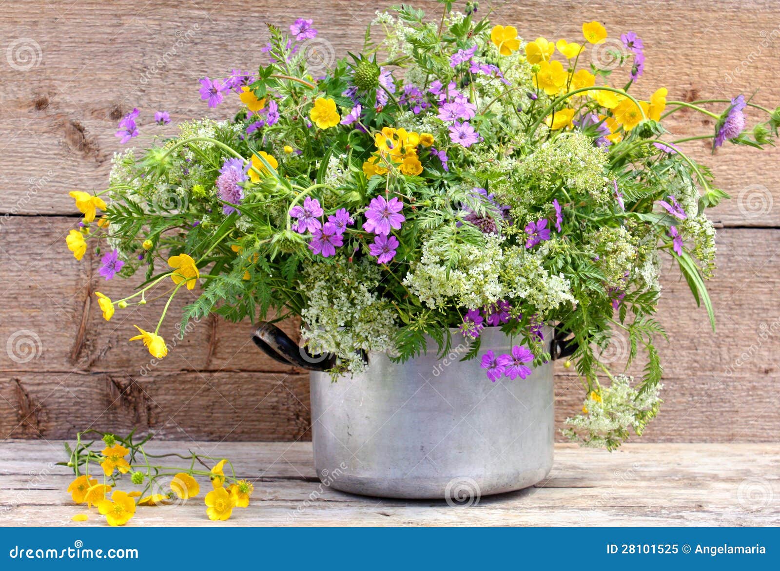 Colorful Wild Flowers in Pot Stock Image - Image of view, closeup: 28101525
