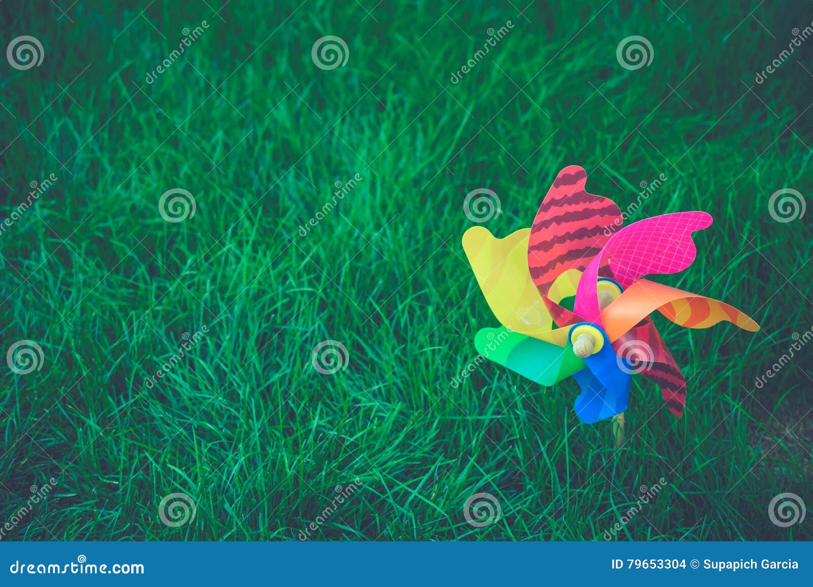 Colorful Wind Wheels on Green Grass with Blank Space Stock Photo ...