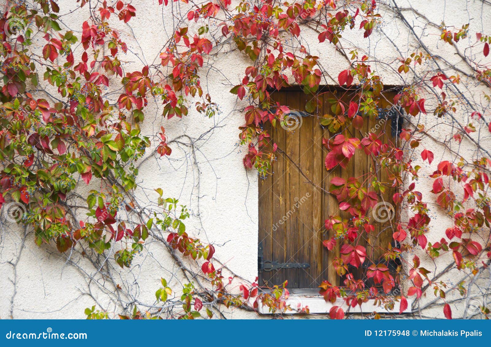 Colorful closed window stock photo. Image of window, house - 12175948