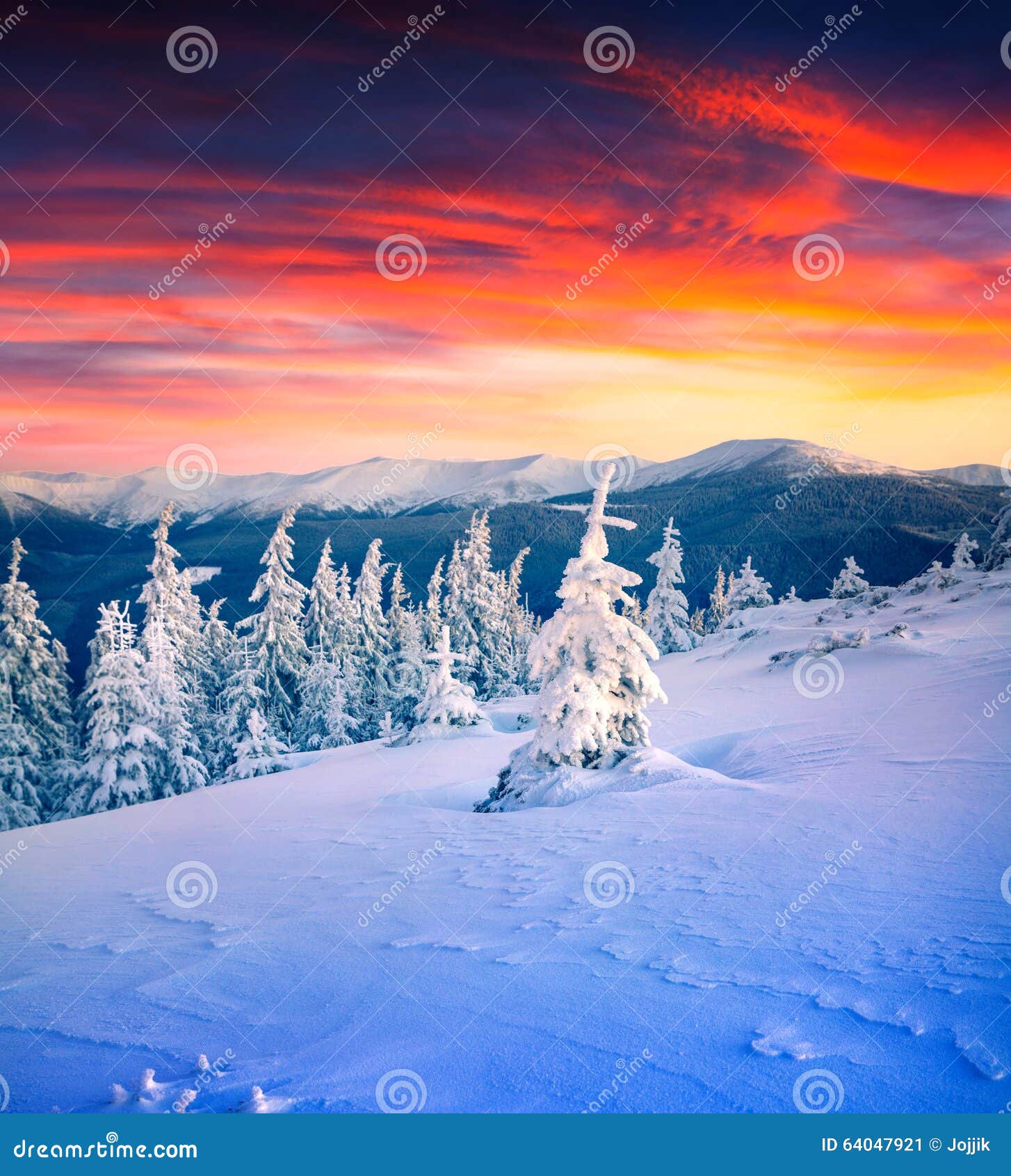 Colorful Winter Scene in Snowy Mountain. Stock Image - Image of forest ...