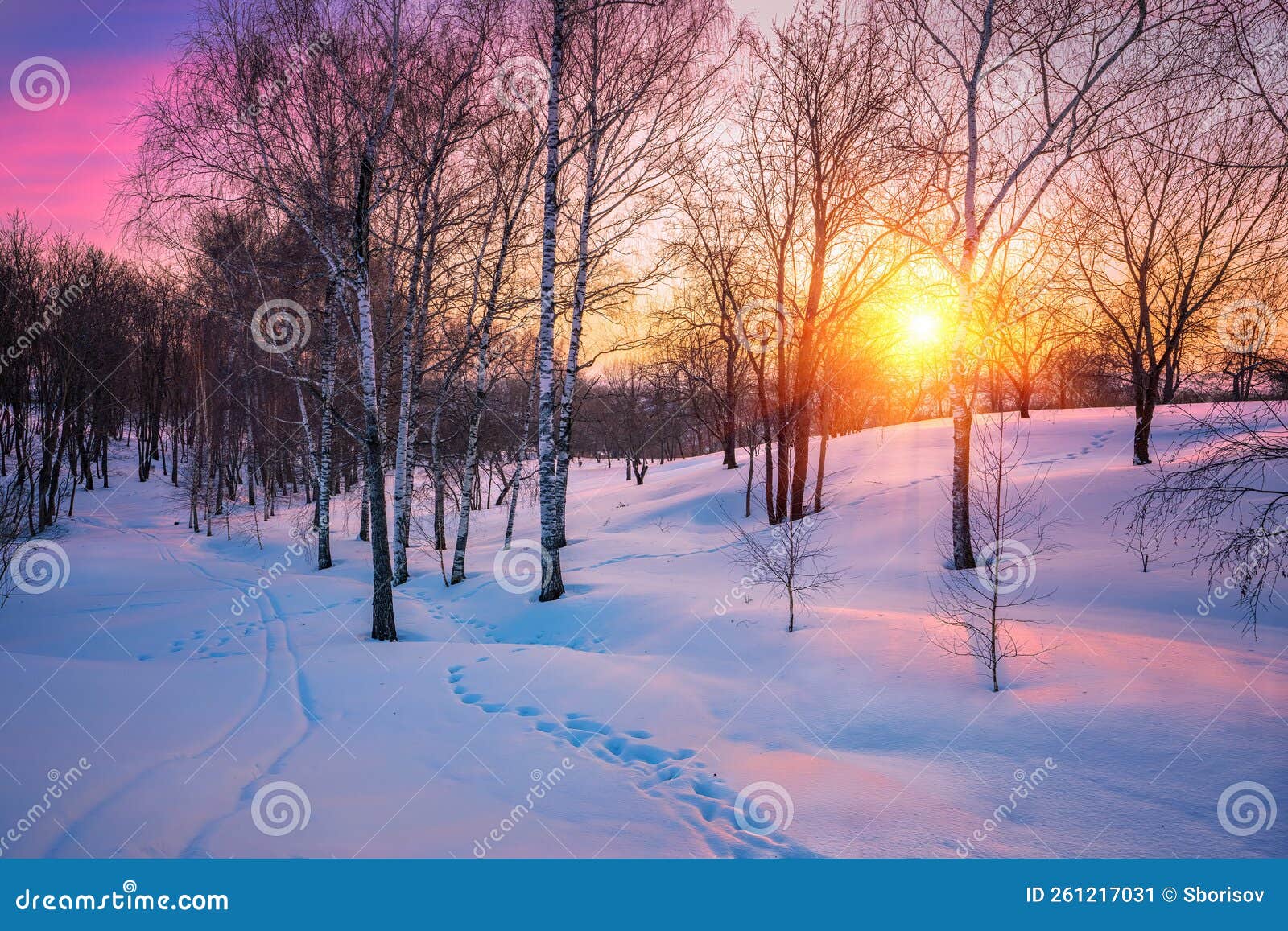 Colorful Winter Sunset in Countryside Stock Image - Image of forest ...
