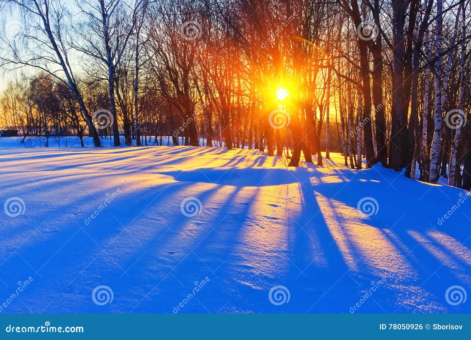 Colorful winter sunset stock photo. Image of sunlight - 78050926