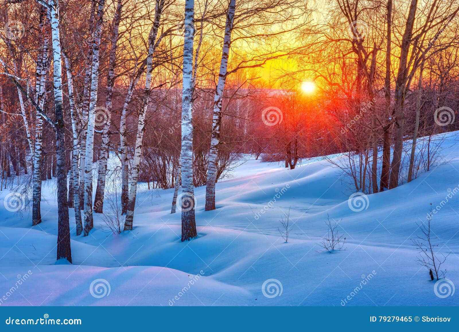 Colorful winter sunset stock image. Image of sunlight - 79279465