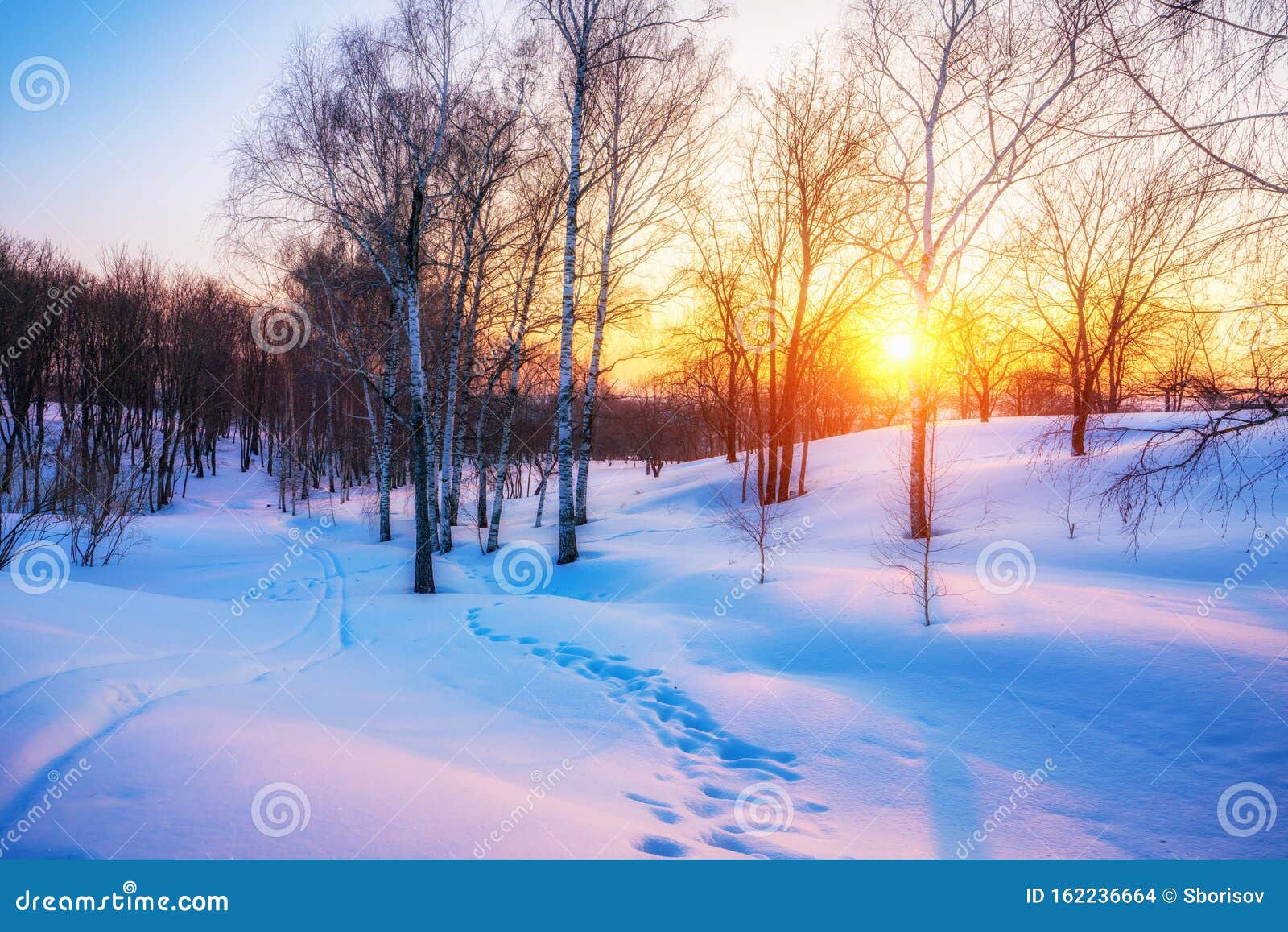 Colorful winter sunset stock photo. Image of sunlight - 162236664