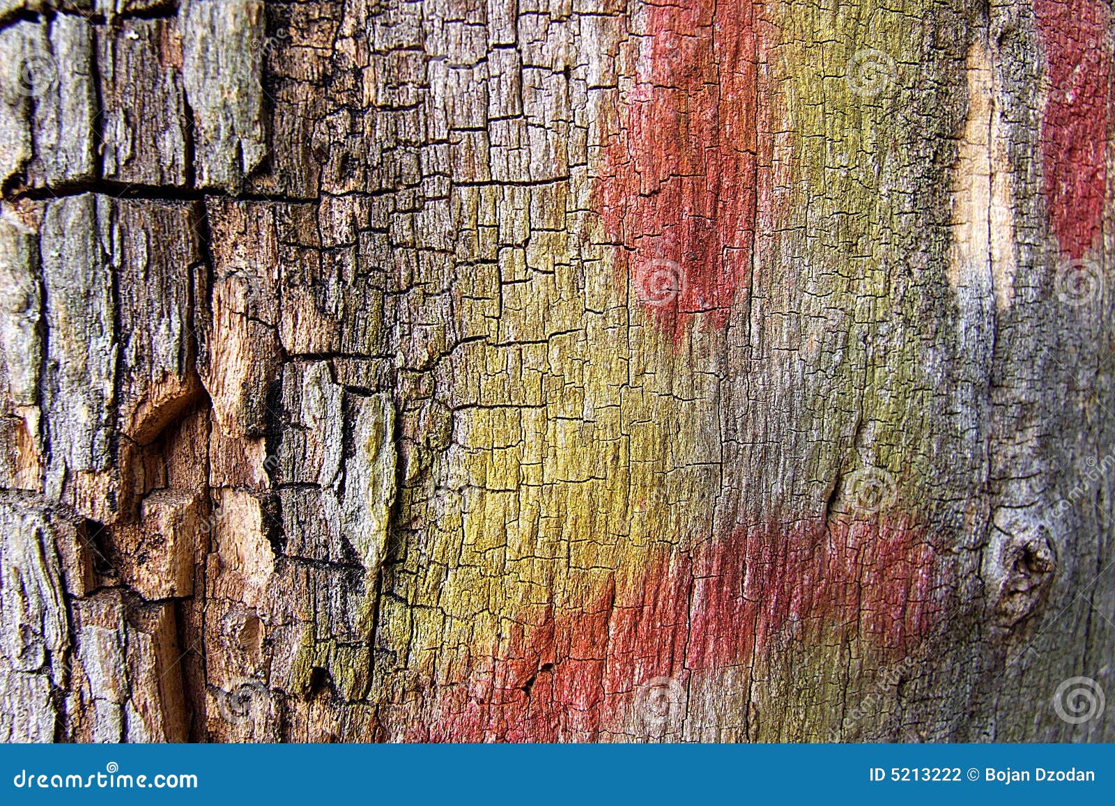Colorful Wood Texture stock photo. Image of colorful, colours - 5213222