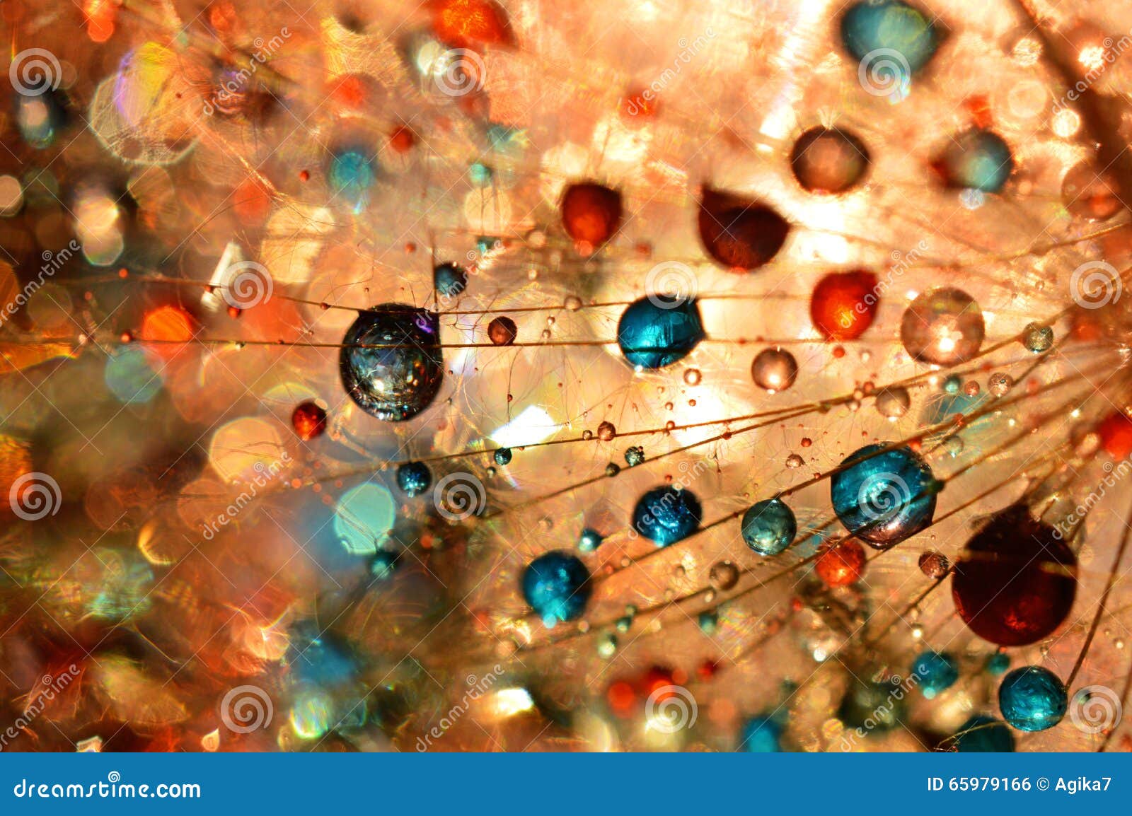 Colorful world stock photo. Image of background, sprinkled - 65979166