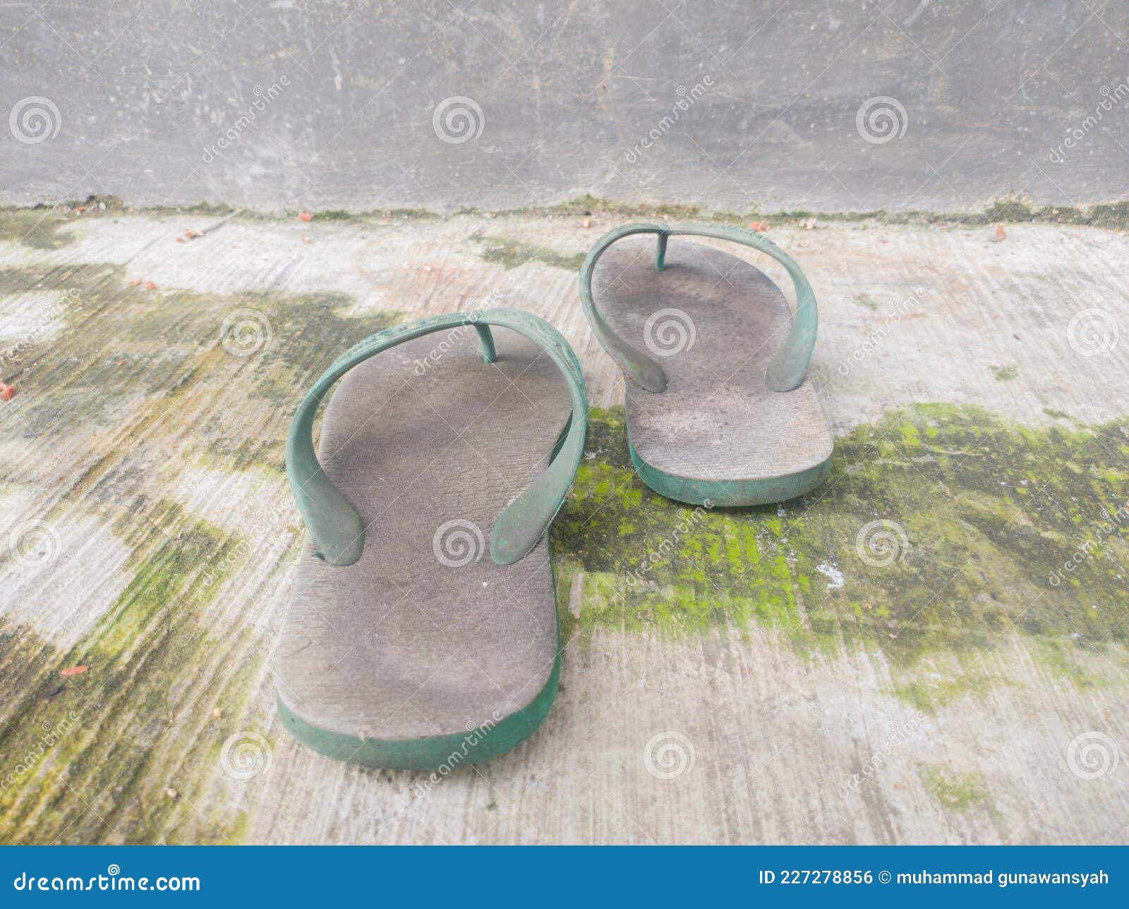 Colorful, Worn-out Flip-flops on the Mossy Cement Floor Stock Photo ...