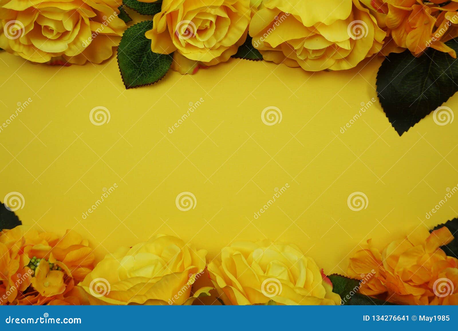 Colorful Yellow Roses Frame with Space for Copy Stock Image - Image of ...