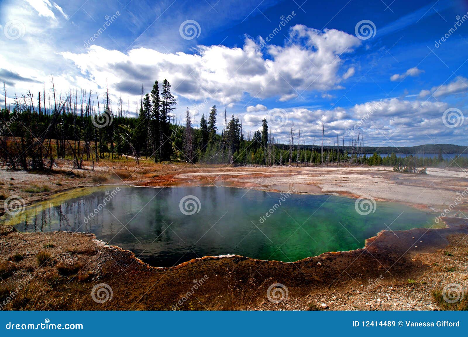 Colorful Yellowstone Hot Spring Stock Image - Image of mammoth, bright ...