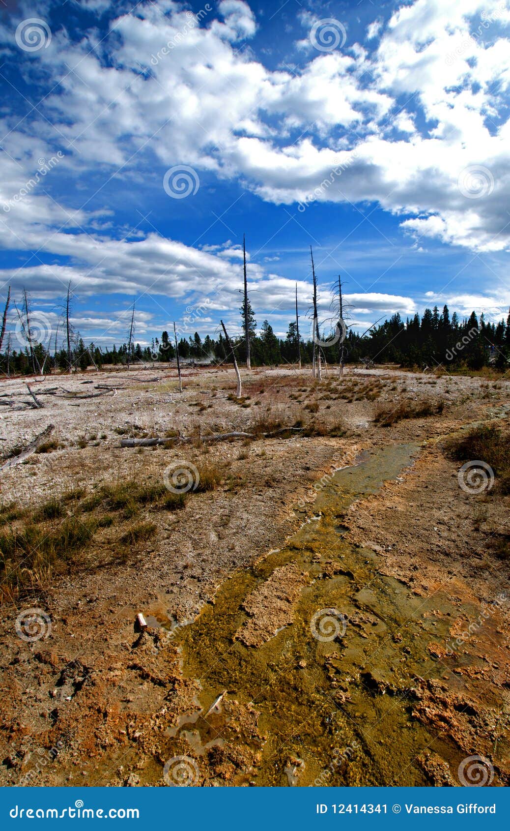 Colorful Yellowstone Hot Springs Bed Stock Image - Image of boiling ...