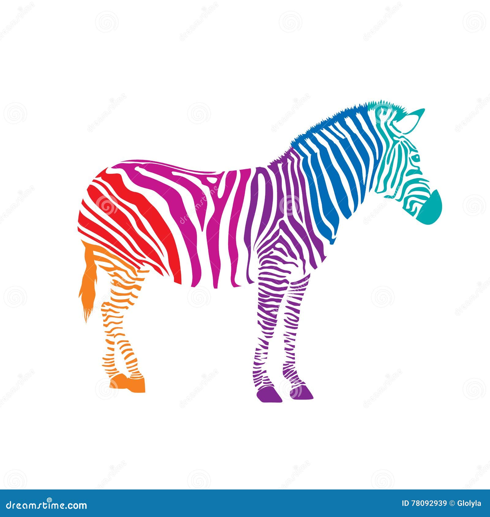 Colorful Zebra. stock vector. Illustration of animal - 78092939