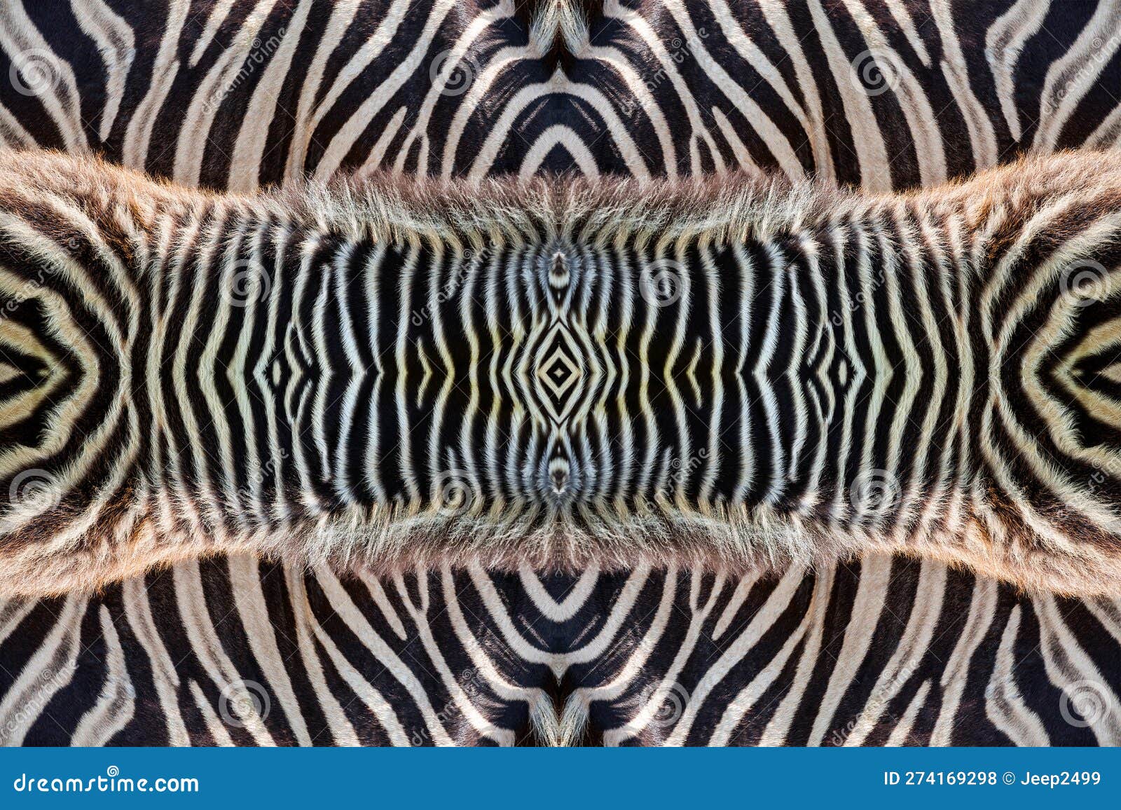 Colorful zebra pattern. stock photo. Image of design - 274169298