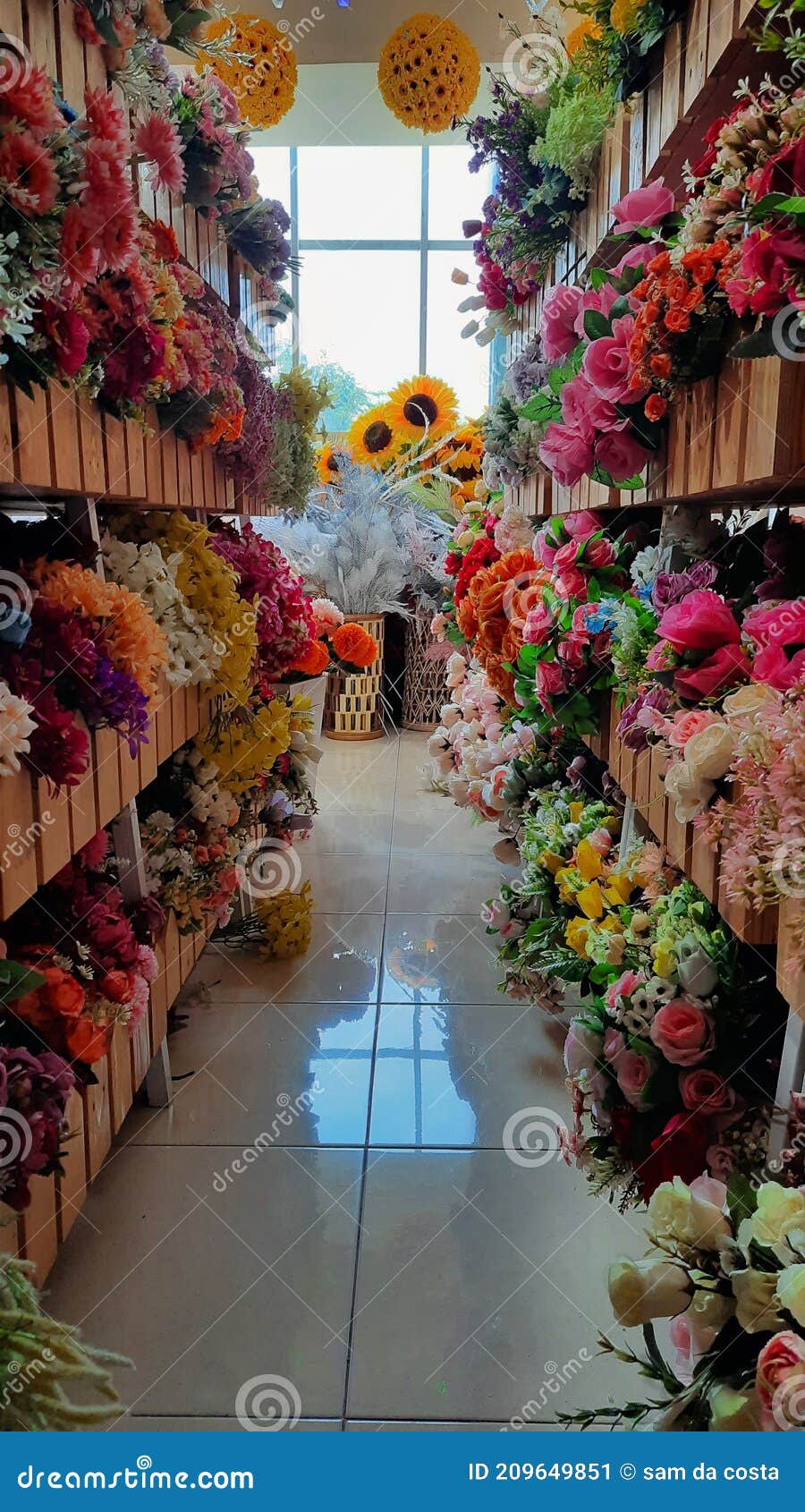 Colorfull Flowers hall stock image. Image of plant, yellow - 209649851