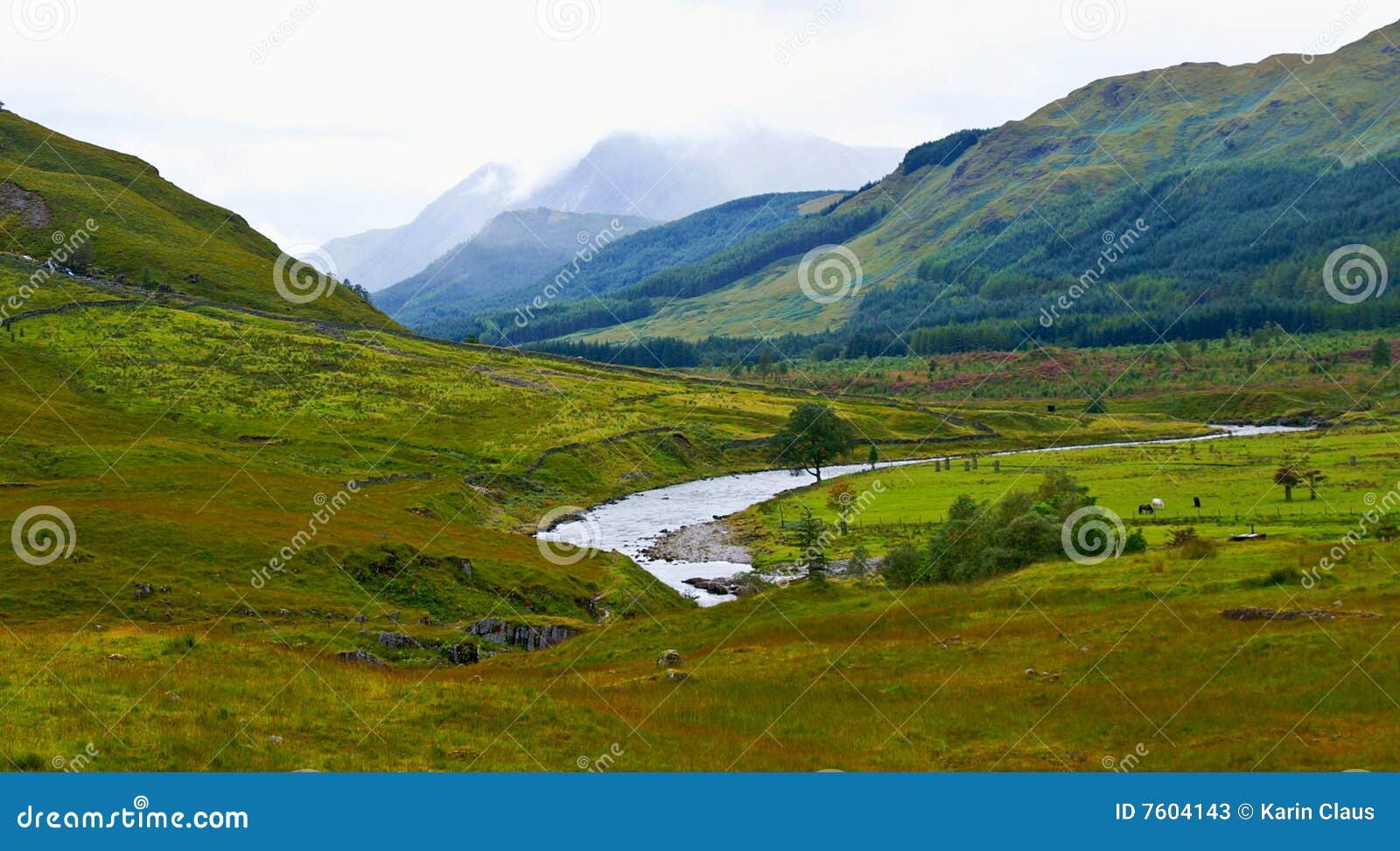 Colorfull green valley stock image. Image of scenery, hill - 7604143