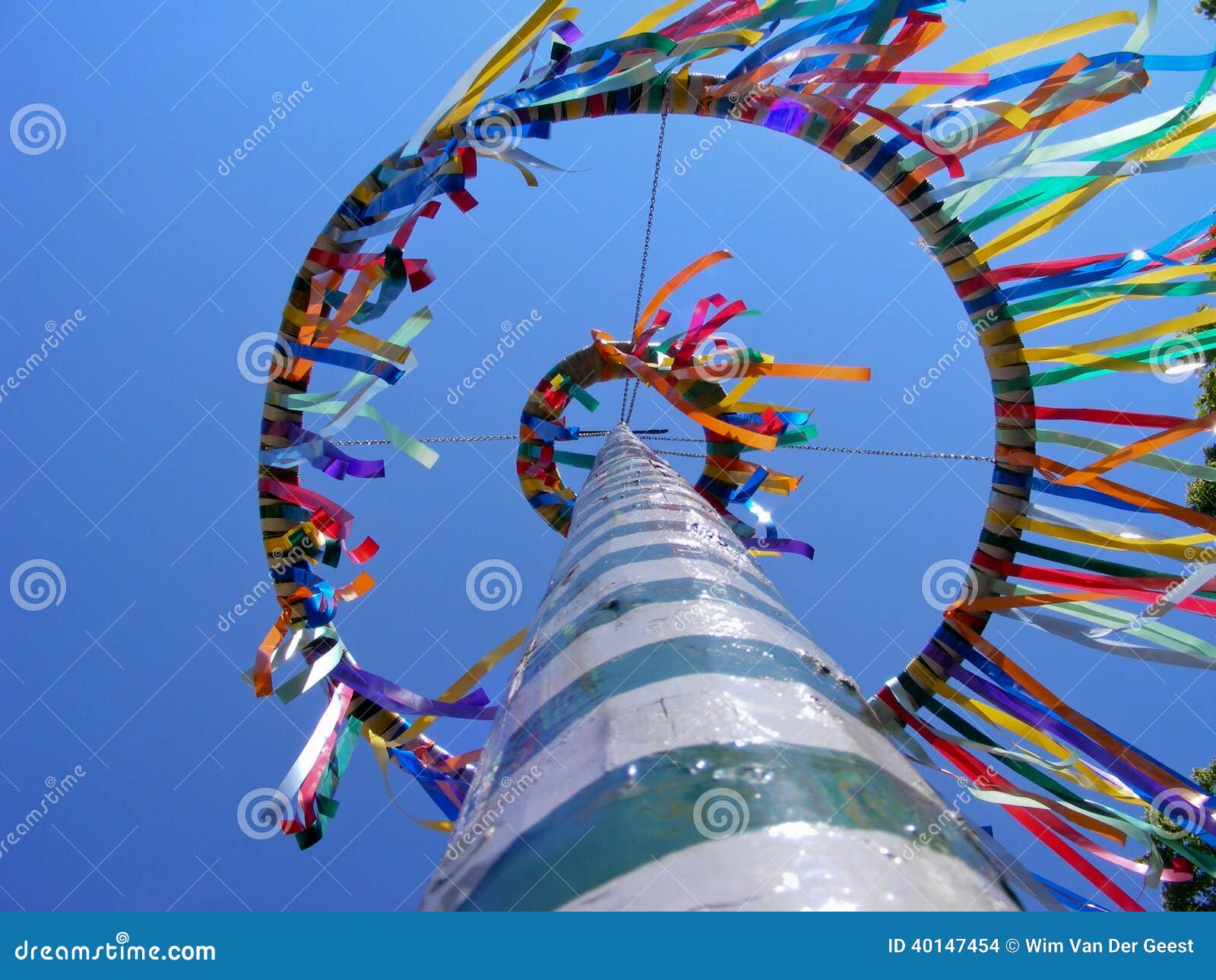 Colorfull May tree stock photo. Image of green, colors - 40147454