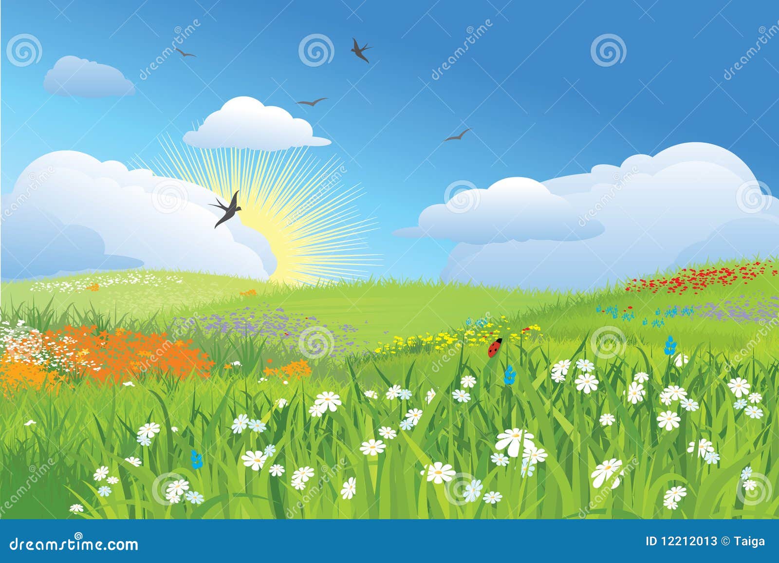 Colorfull Meadow / Flower and Grass / Vector Stock Vector ...