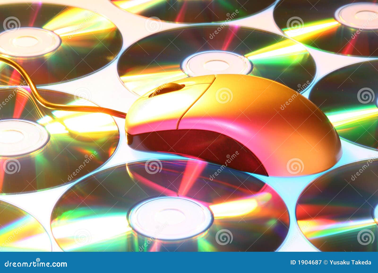 Colorfull Mouse-2 stock image. Image of colorfull, hardware - 1904687