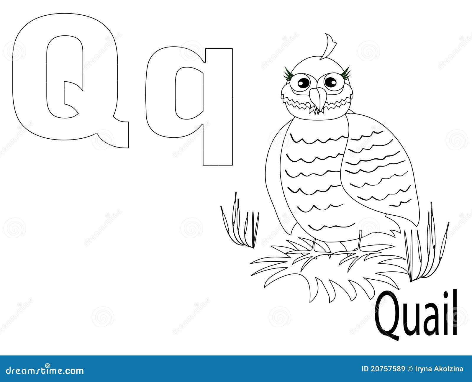 Coloring Alphabet For Kids,Q Cartoon Vector | CartoonDealer.com #20757589