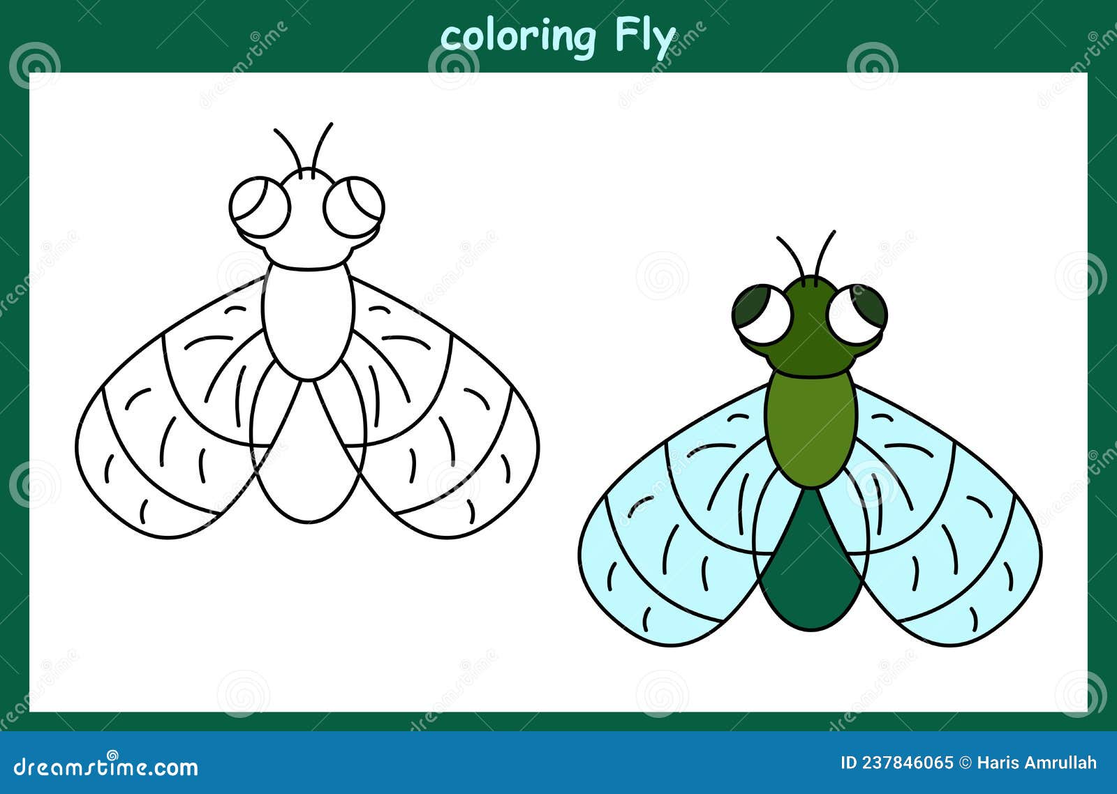 Children Trace and Coloring Fly Stock Vector - Illustration of kids ...