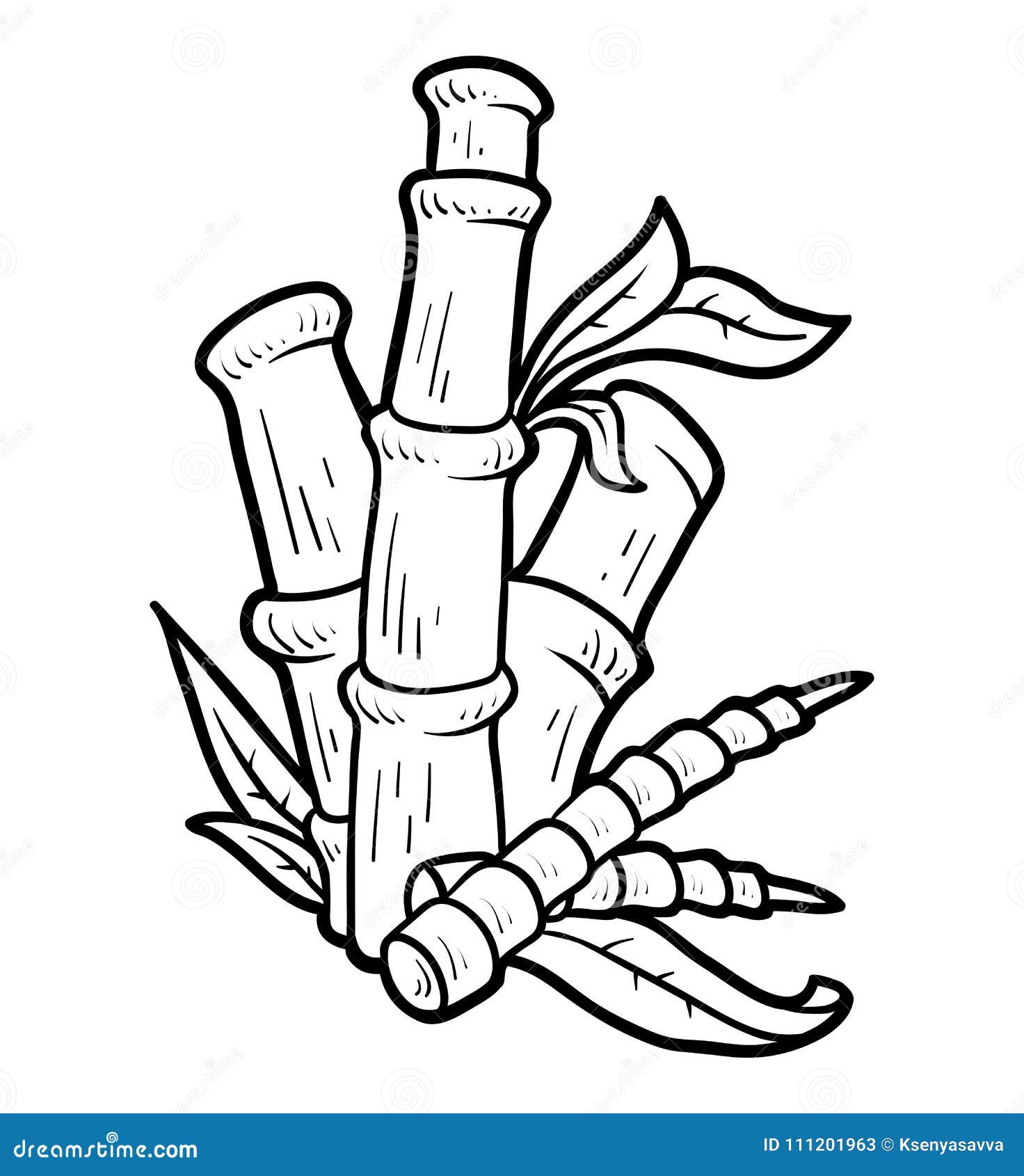 Coloring book, Bamboo stock vector. Illustration of cane - 111201963