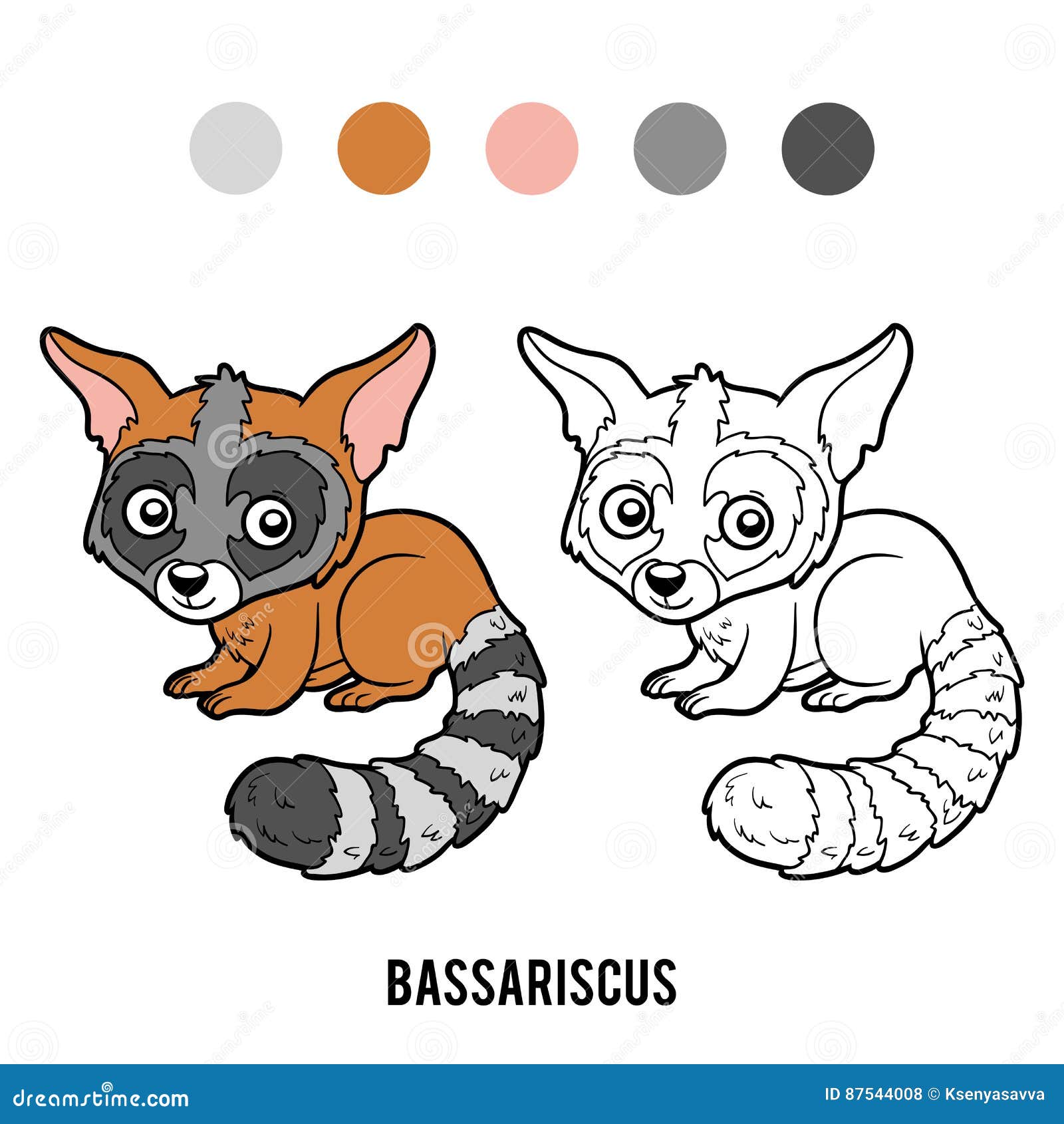 Coloring book, Bassariscus stock vector. Illustration of page - 87544008