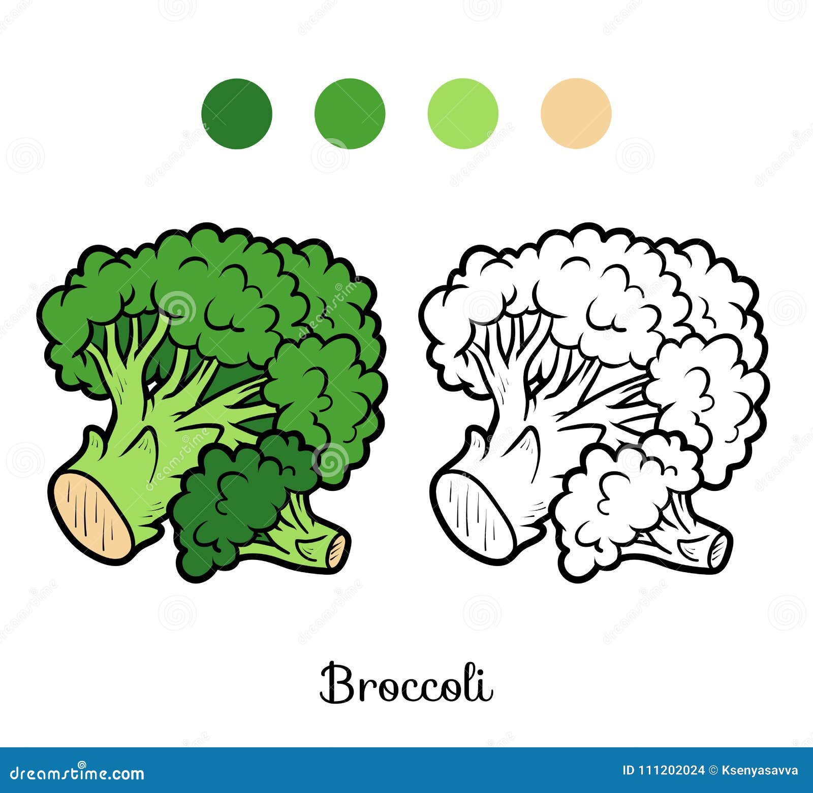 Coloring book, Broccoli stock vector. Illustration of black - 111202024