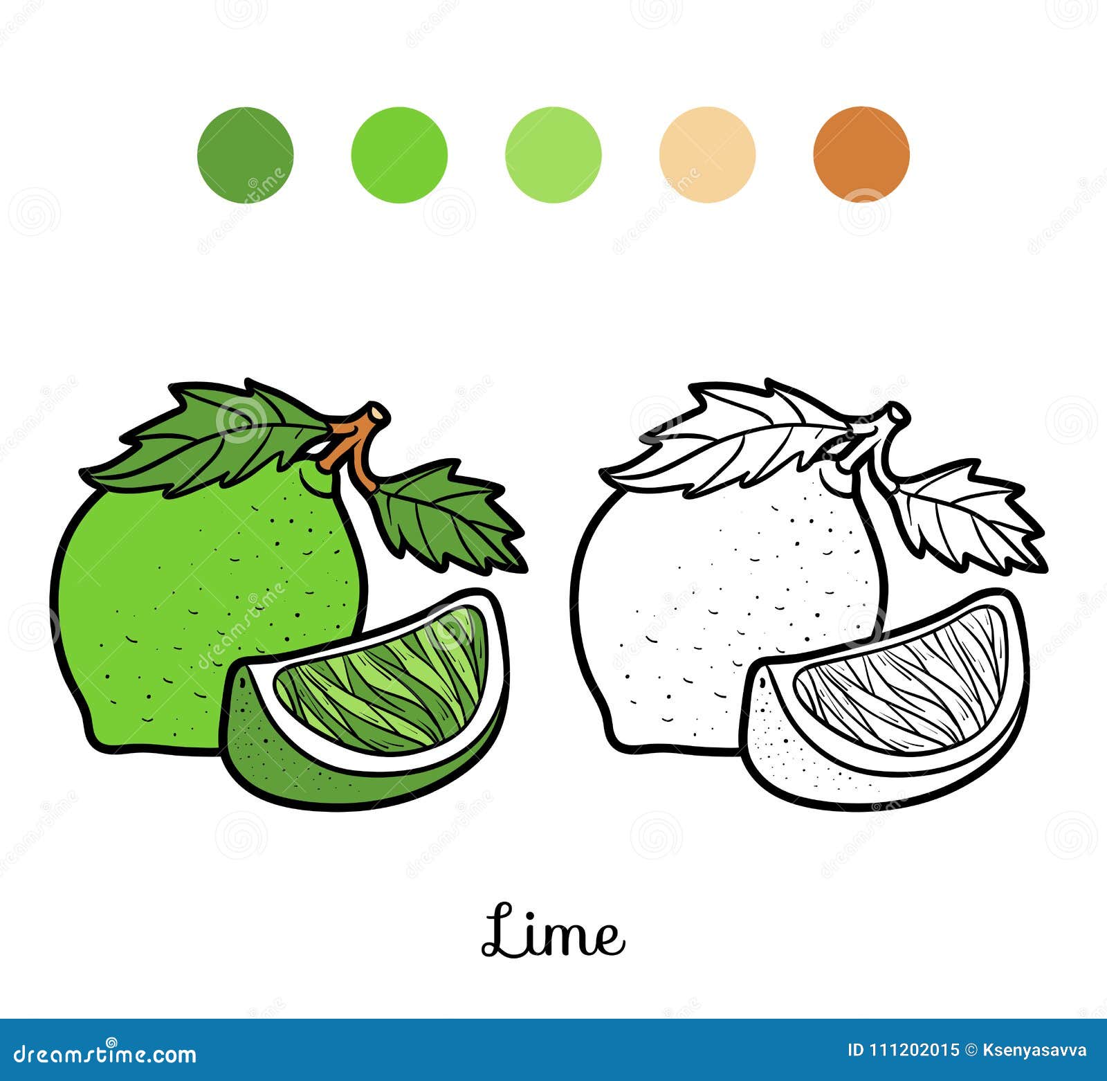 Coloring book, Lime stock vector. Illustration of natural - 111202015