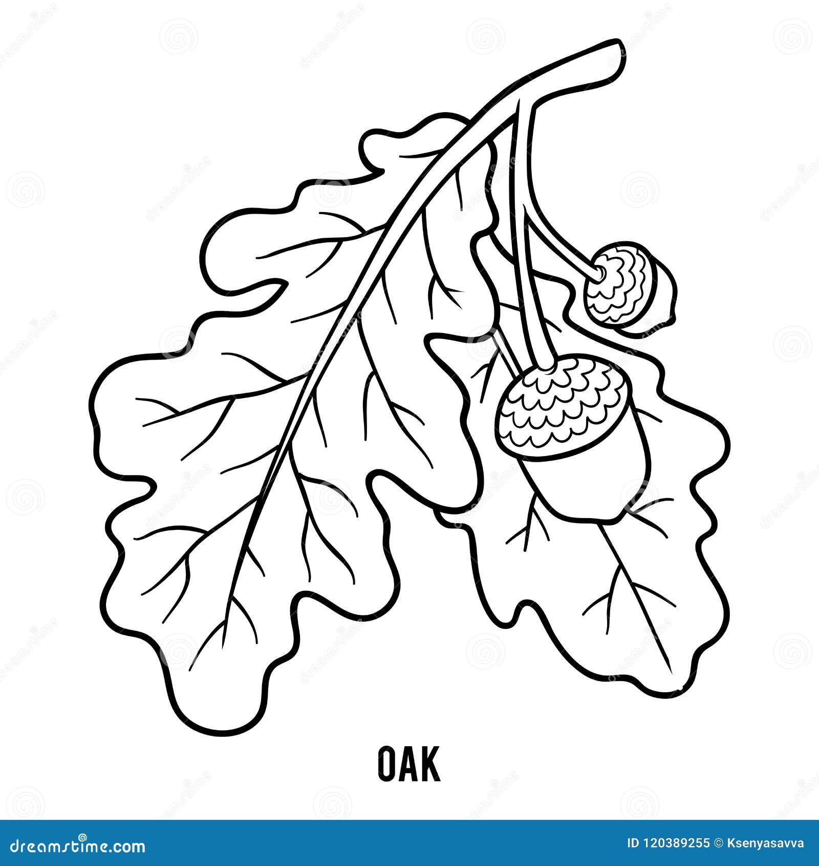 Coloring Book for Children, Oak Branch Stock Vector - Illustration of ...