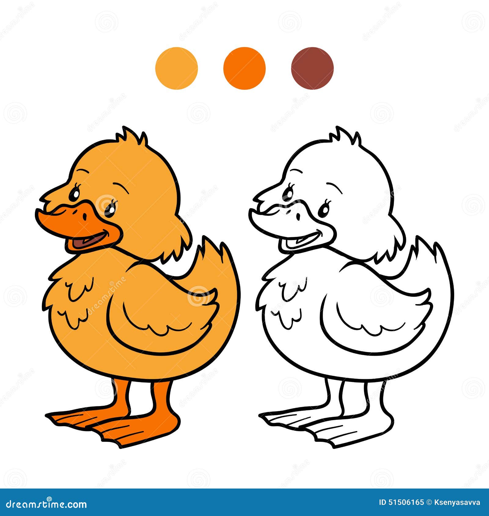 Duck To Color