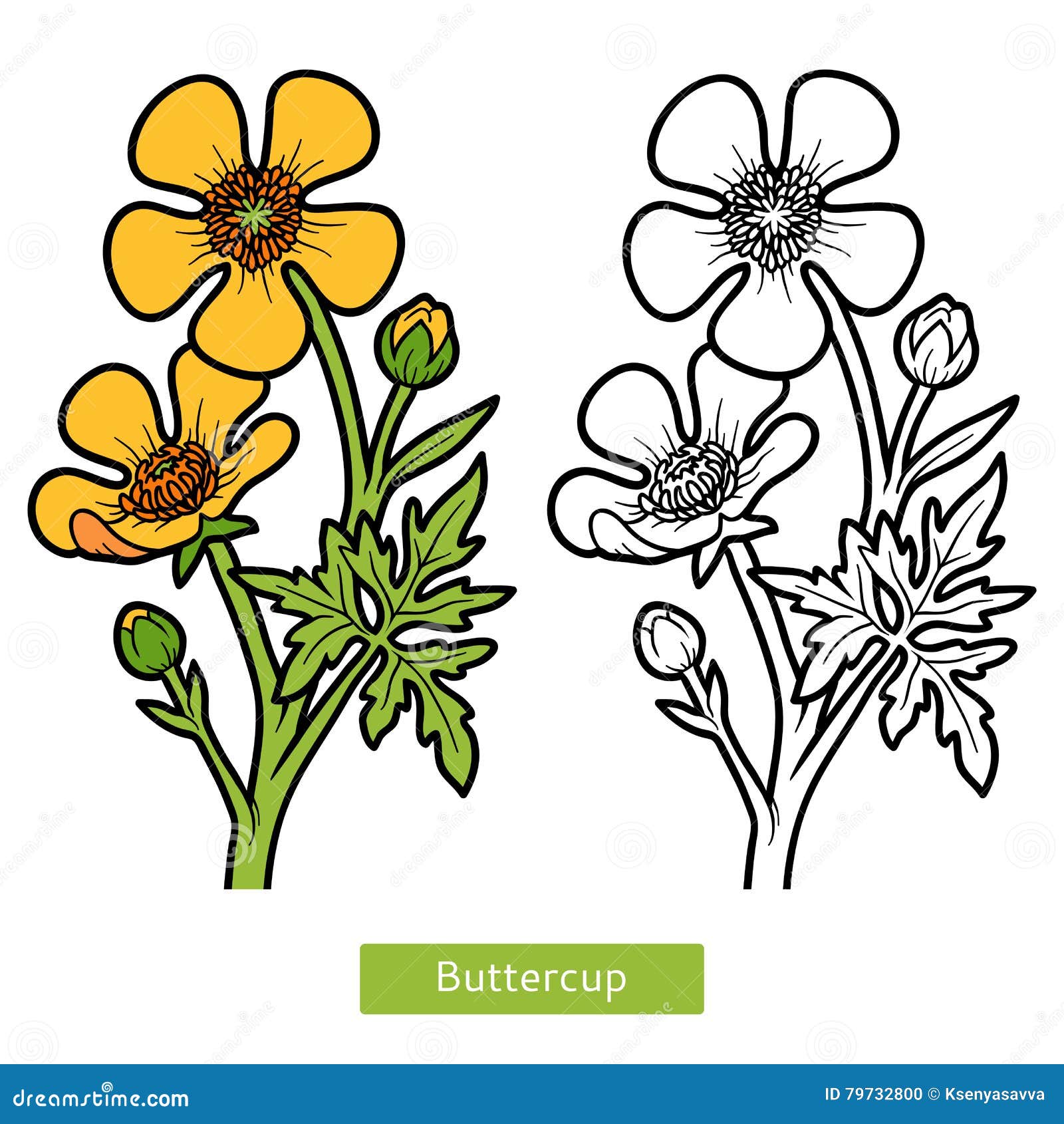 Buttercup Cartoons, Illustrations & Vector Stock Images - 7889 Pictures ...