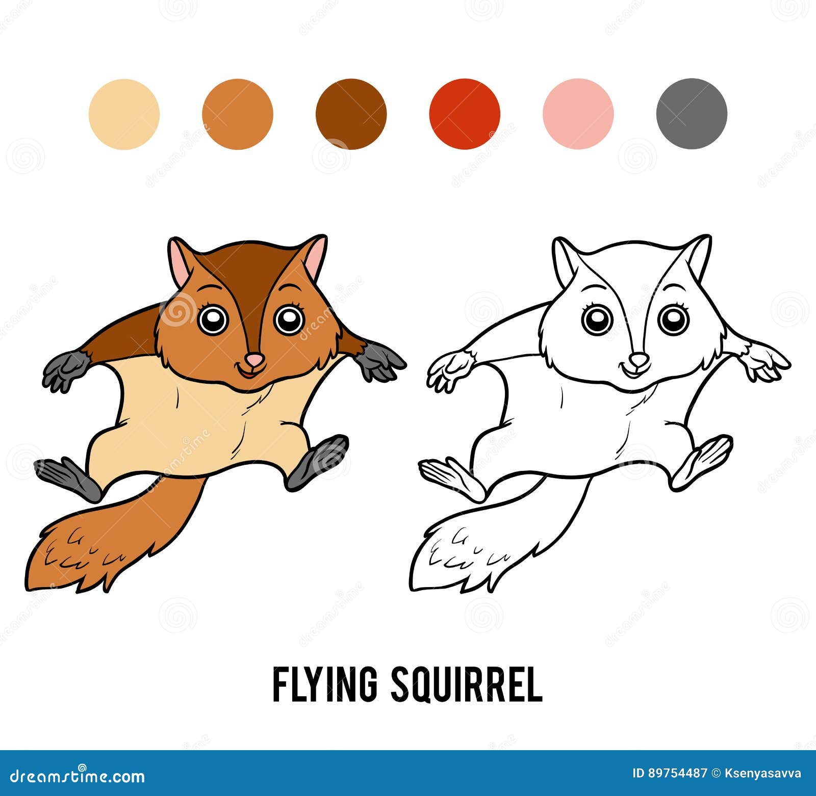 Cute Flying Squirrel Cartoon