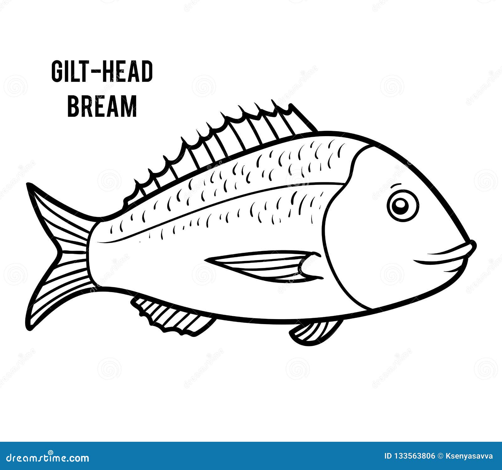 Coloring Book, Gilt-head Bream Stock Vector - Illustration of ...