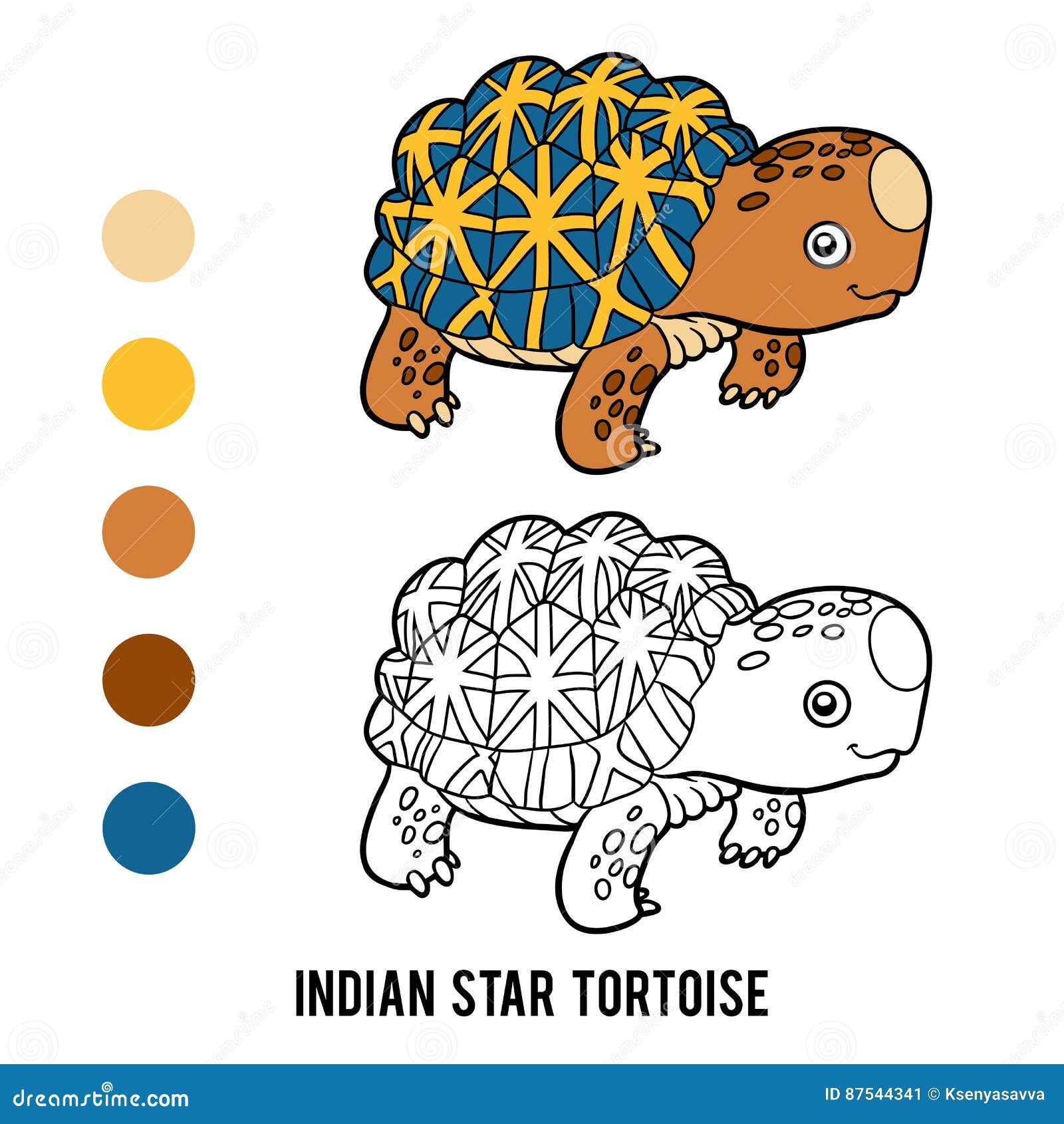 Star Tortoise Cartoon Vector | CartoonDealer.com #71022865