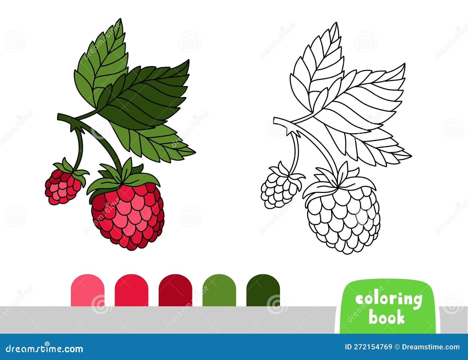 Coloring Book for Kids Raspberry Page for Books Magazines Coloring ...