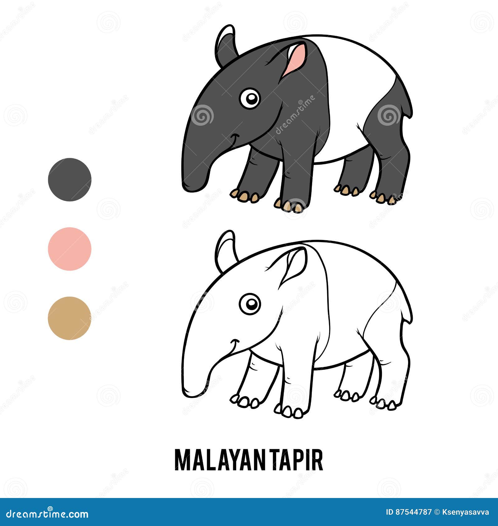Coloring Book, Malayan Tapir Stock Vector - Illustration of color ...