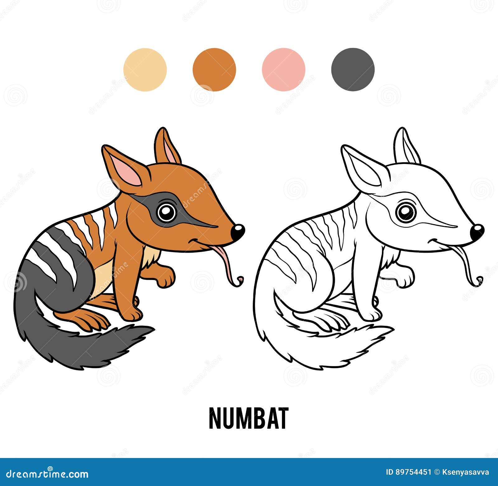 Coloring book, Numbat stock vector. Illustration of game - 89754451