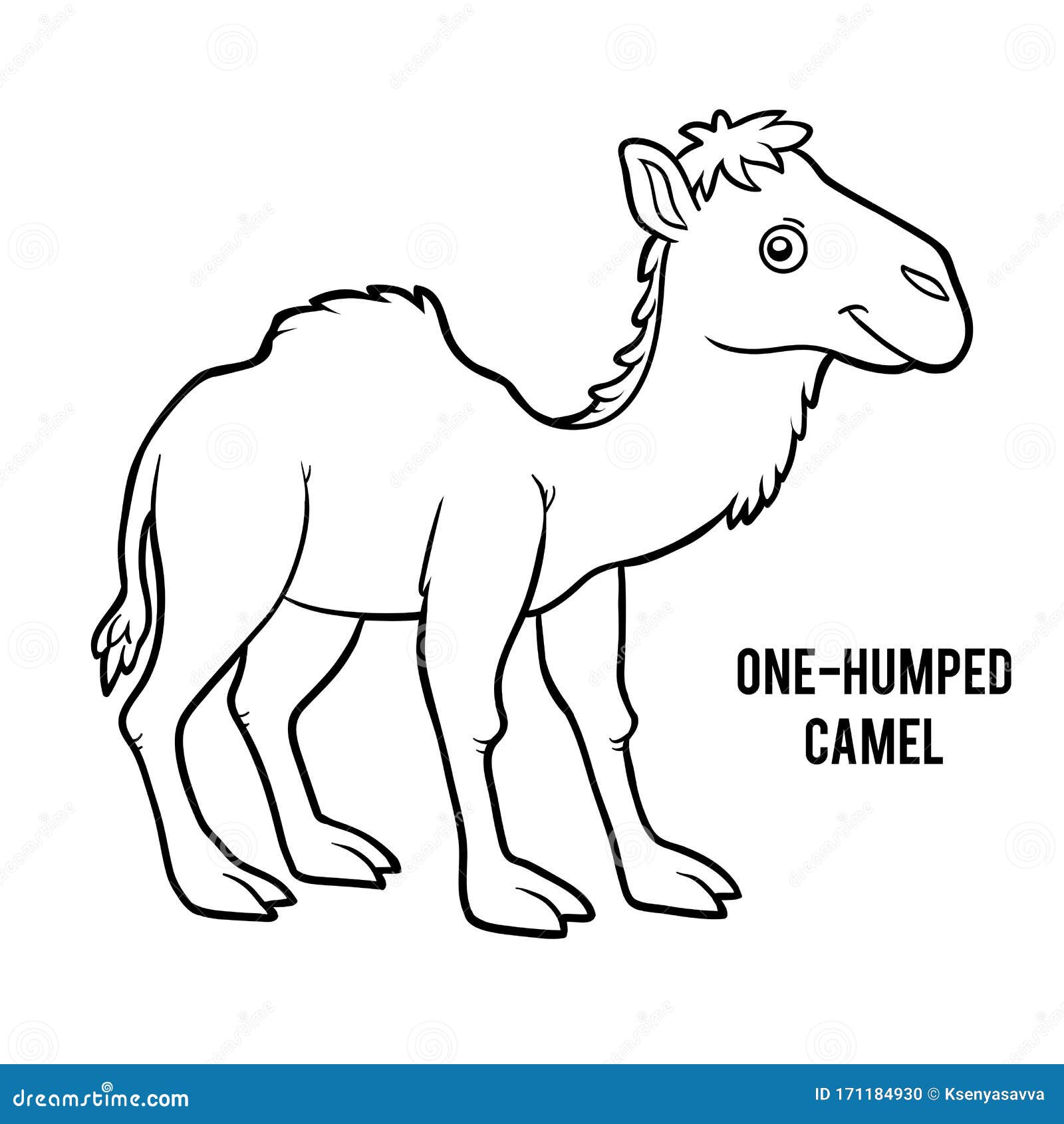 Coloring Book, One-humped Camel Stock Vector - Illustration of black ...