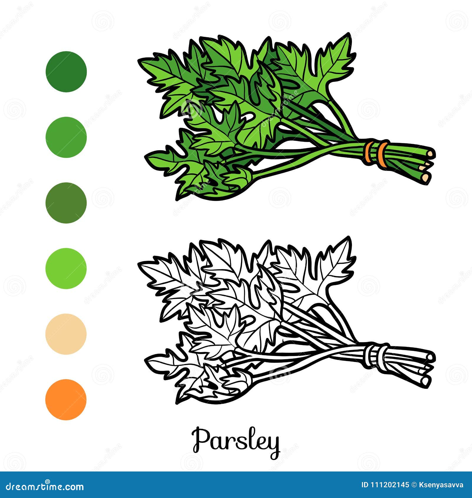 Parsley Cartoons, Illustrations & Vector Stock Images - 207234 Pictures ...
