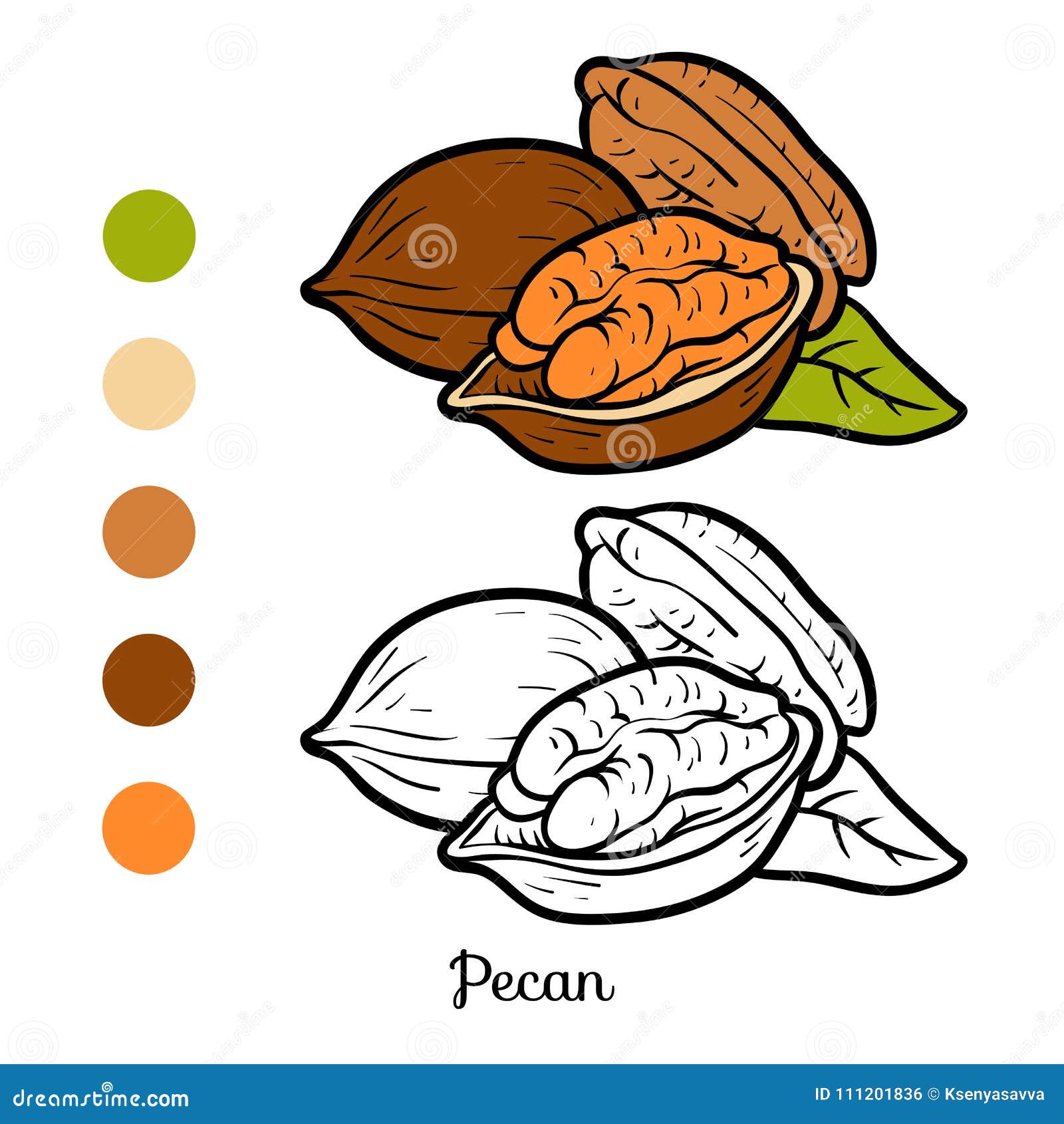 Coloring book, Pecan stock vector. Illustration of kindergarten - 111201836