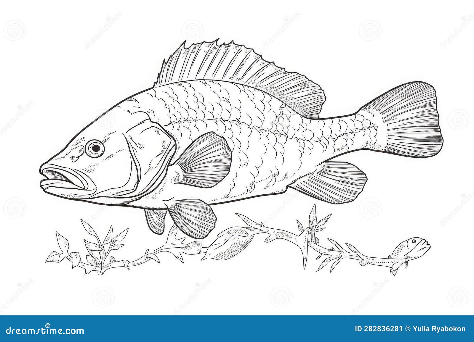River Chub Or Nocomis Micropogon Freshwater Fish Cartoon Drawing ...