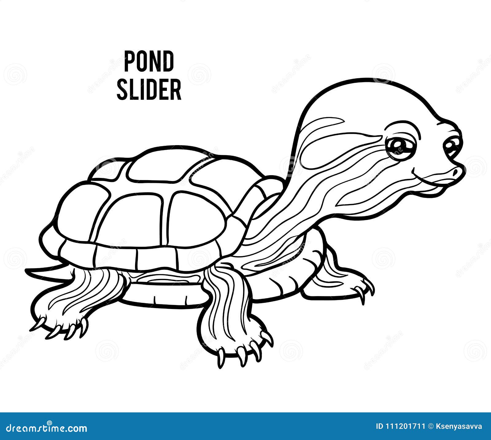 Coloring Pond Cartoon Vector | CartoonDealer.com #59093721
