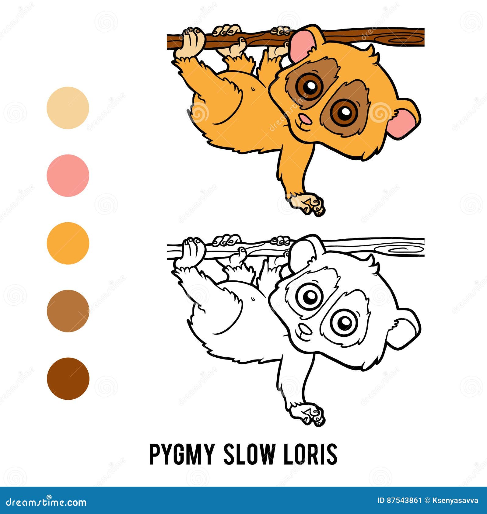 Coloring Book, Pygmy Slow Loris Stock Vector - Illustration of lovely ...