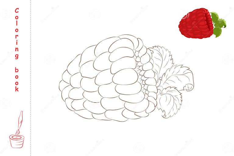 Coloring Book Raspberry with Example Stock Vector - Illustration of ...
