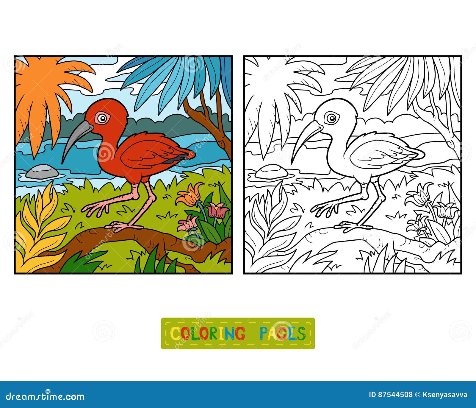 Scarlet Ibis Cartoon Vector | CartoonDealer.com #69951045